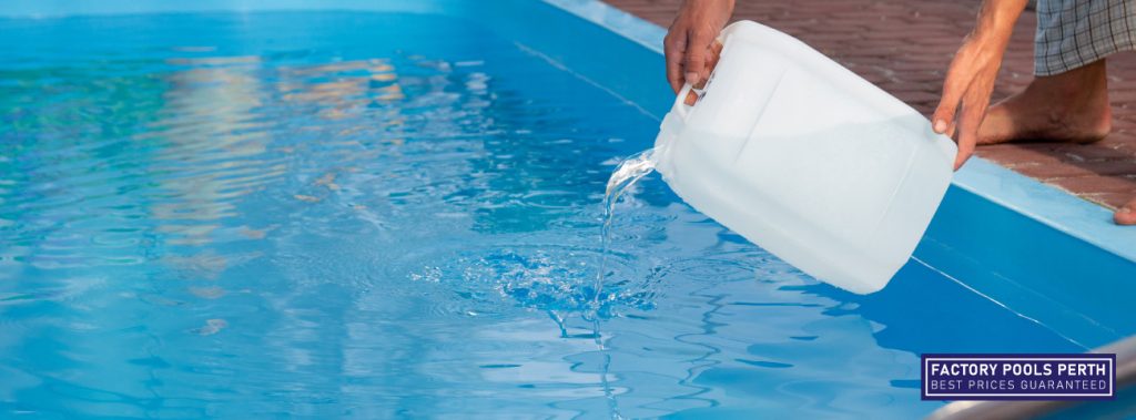 Effective Tips To Get Rid Of Water Bugs From Your Swimming Pool - Factory Pools Perth